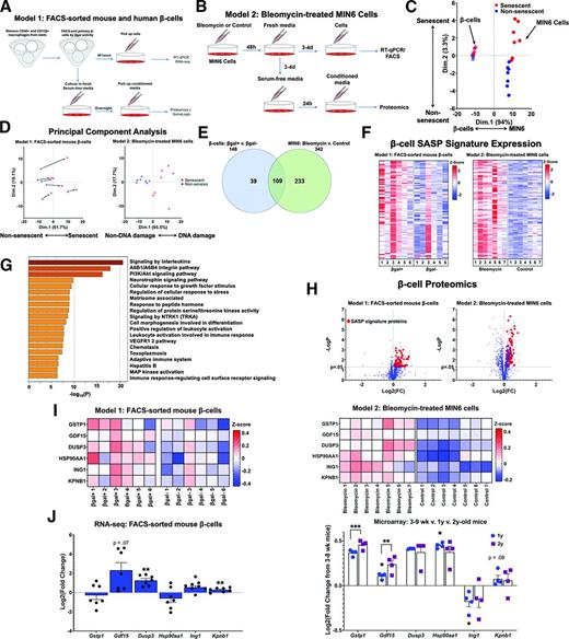 Unique Human and Mouse β-Cell Senescence-Associated Secretory Phenotype ...