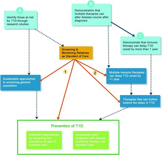 A Key to T1D Prevention: Screening and Monitoring Relatives as Part of ...