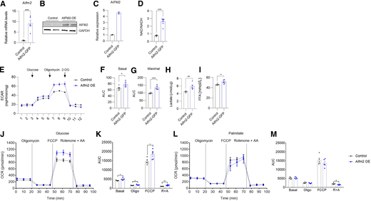 AIFM2 Is Required for High-Intensity Aerobic Exercise in Promoting ...