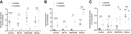 RhoA as a Signaling Hub Controlling Glucagon Secretion From Pancreatic ...