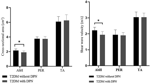 Morphological and Mechanical Properties of Lower-Limb Muscles in Type 2 ...