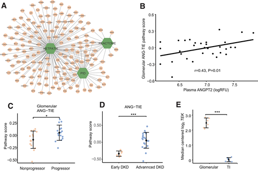 Multi-Scalar Data Integration Links Glomerular Angiopoietin-Tie ...