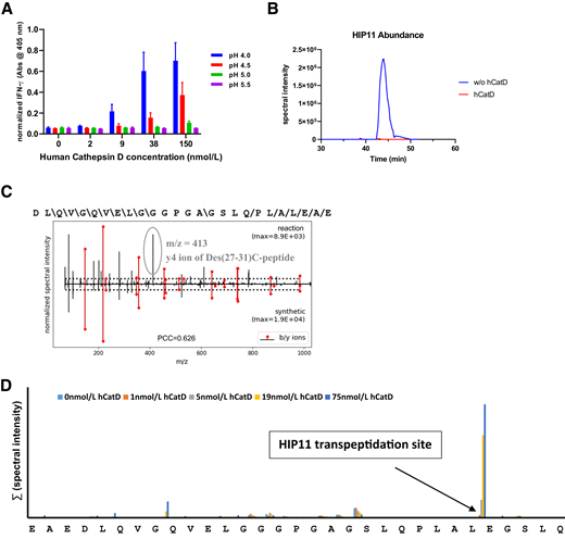 Cathepsin D Drives the Formation of Hybrid Insulin Peptides Relevant to ...