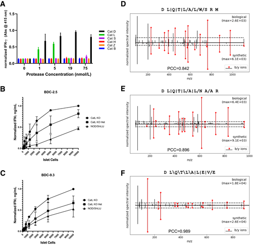 Cathepsin D Drives the Formation of Hybrid Insulin Peptides Relevant to ...