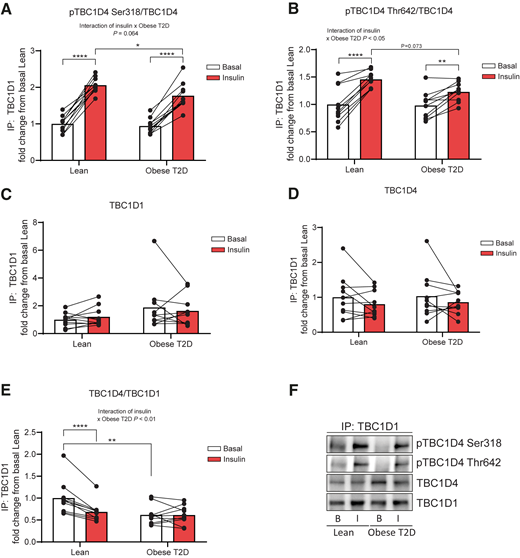 Illumination of the Endogenous Insulin-Regulated TBC1D4 Interactome in ...