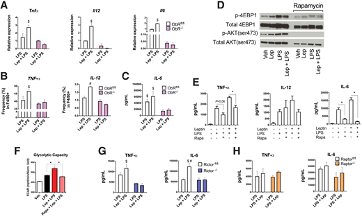 Leptin Signaling Suppression in Macrophages Improves Immunometabolic ...