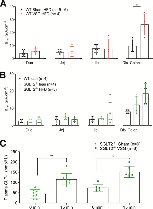 Vertical Sleeve Gastrectomy Lowers SGLT2/Slc5a2 Expression in the Mouse ...