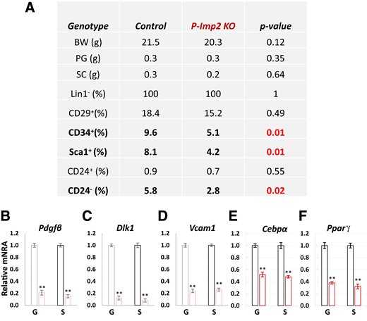 Human T2D-Associated Gene IMP2/IGF2BP2 Promotes the Commitment of ...