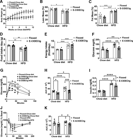 Endothelial-Specific Expression of CIDEC Improves High-Fat Diet–Induced ...