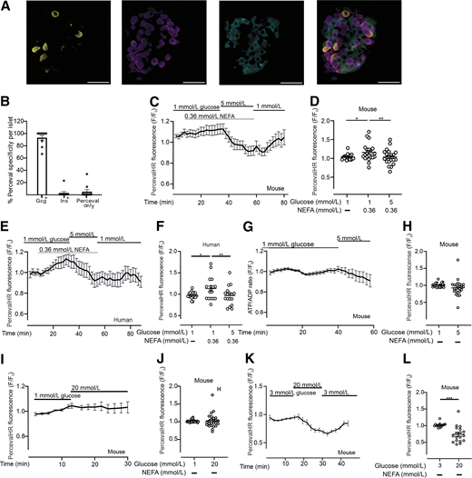 Glucose Controls Glucagon Secretion by Regulating Fatty Acid Oxidation ...