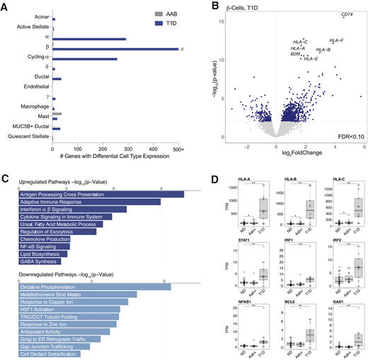 An Integrated Map of Cell Type–Specific Gene Expression in Pancreatic ...