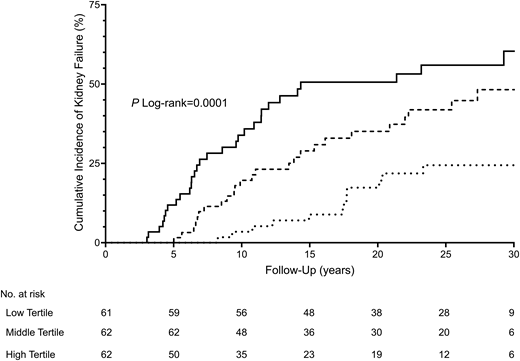 Loss of Glomerular Permselectivity in Type 2 Diabetes Associates With ...