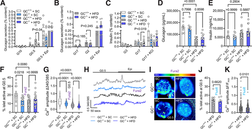 GC-Globulin/Vitamin D–Binding Protein Is Required for Pancreatic α-Cell ...