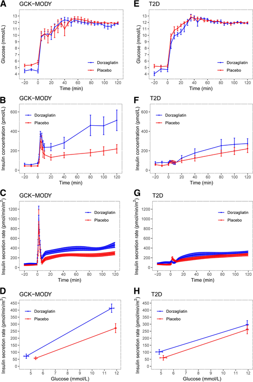 Dorzagliatin, a Dual-Acting Glucokinase Activator, Increases Insulin ...