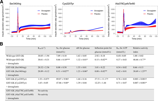Dorzagliatin, a Dual-Acting Glucokinase Activator, Increases Insulin ...