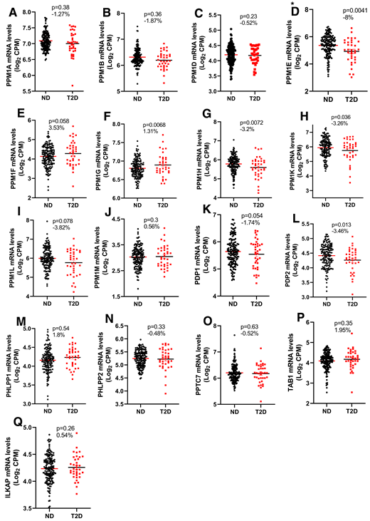 Reduced Expression Level of Protein Phosphatase PPM1E Serves to ...