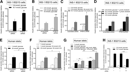 Reduced Expression Level of Protein Phosphatase PPM1E Serves to ...