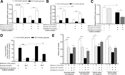 Reduced Expression Level of Protein Phosphatase PPM1E Serves to ...