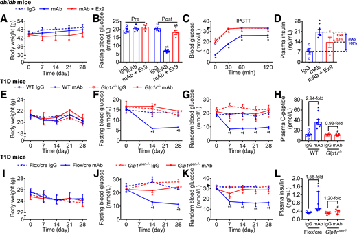 Glucagon Acting at the GLP-1 Receptor Contributes to β-Cell ...