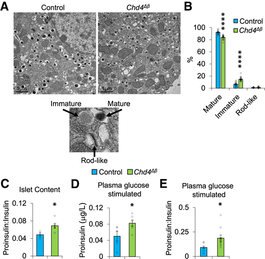 The Chd4 Helicase Regulates Chromatin Accessibility and Gene Expression ...
