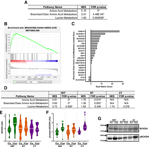 Divergent Skeletal Muscle Metabolomic Signatures of Different Exercise ...