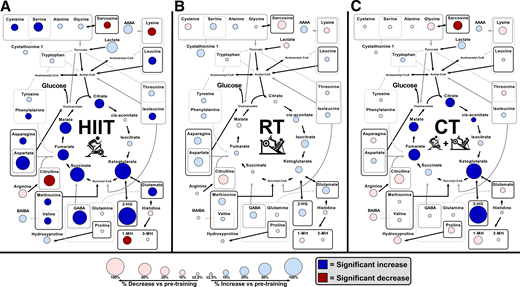 Divergent Skeletal Muscle Metabolomic Signatures of Different Exercise ...