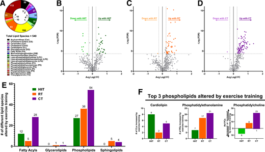 Divergent Skeletal Muscle Metabolomic Signatures of Different Exercise ...