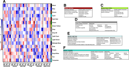 Divergent Skeletal Muscle Metabolomic Signatures of Different Exercise ...