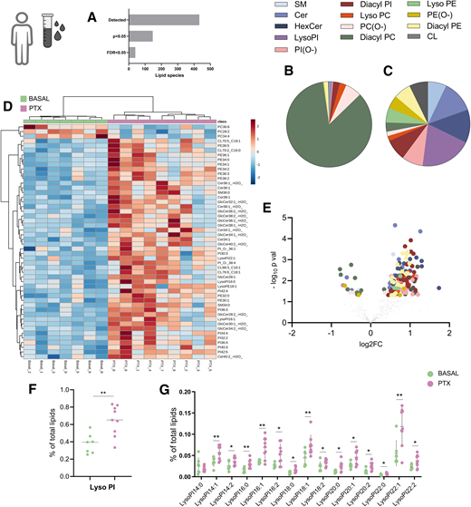 Lysophosphatidylinositols Are Upregulated After Human β-Cell Loss and ...
