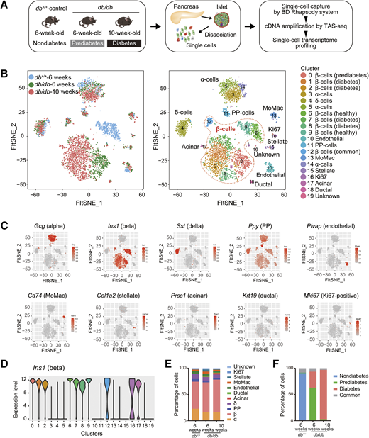 Single-Cell Transcriptome Profiling of Pancreatic Islets From Early ...