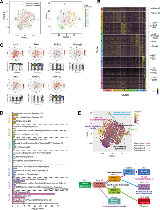 Single Cell Transcriptome Profiling Of Pancreatic Islets From Early