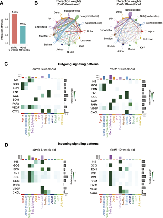 Single-Cell Transcriptome Profiling of Pancreatic Islets From Early ...