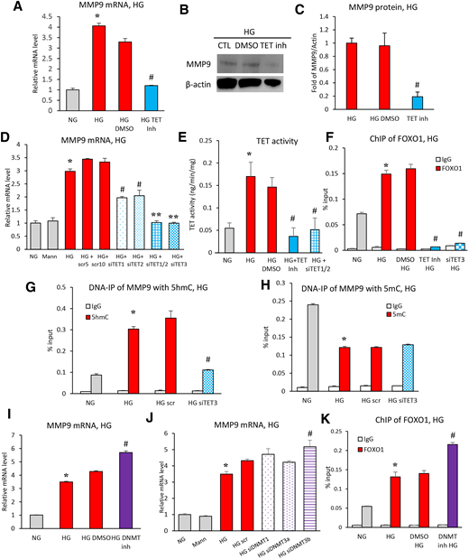 Reepithelialization of Diabetic Skin and Mucosal Wounds Is Rescued by ...