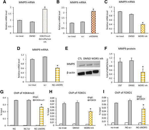 Reepithelialization of Diabetic Skin and Mucosal Wounds Is Rescued by ...