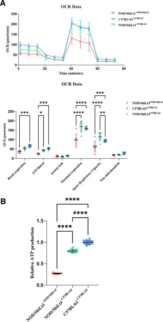 Dissecting the Roles of the Nuclear and Mitochondrial Genomes in a ...