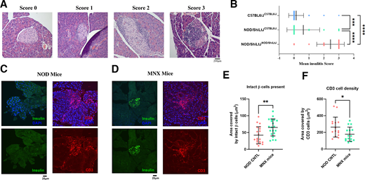 Dissecting the Roles of the Nuclear and Mitochondrial Genomes in a ...