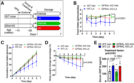 Fatty Acids Increase GDF15 and Reduce Food Intake Through a GFRAL ...