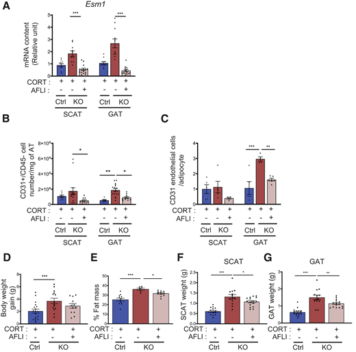 Adipocyte Glucocorticoid Receptor Activation With High Glucocorticoid ...