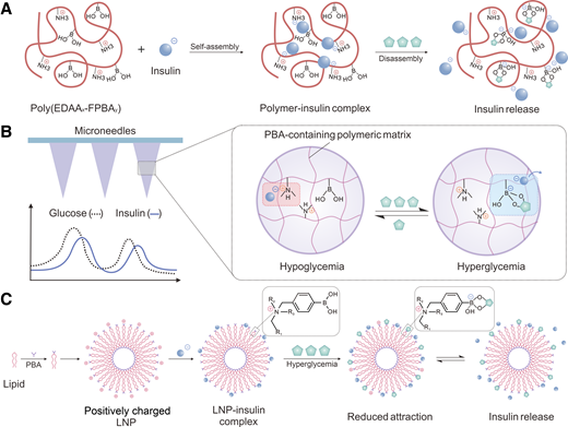 Recent Progress in Glucose-Responsive Insulin | Diabetes | American ...