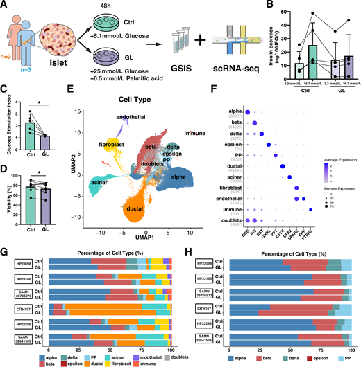 Molecular Mechanisms of Human Pancreatic Islet Dysfunction Under ...
