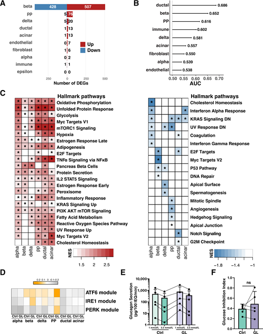 Molecular Mechanisms of Human Pancreatic Islet Dysfunction Under ...