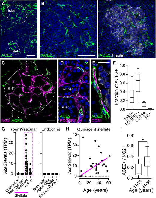 SARS-CoV-2 Spike S1 Subunit Triggers Pericyte and Microvascular ...
