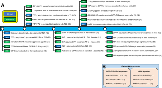 A Contemporary Rationale for Agonism of the GIP Receptor in the ...