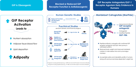 GIP Receptor Antagonists in the Pharmacotherapy of Obesity: Physiologic ...