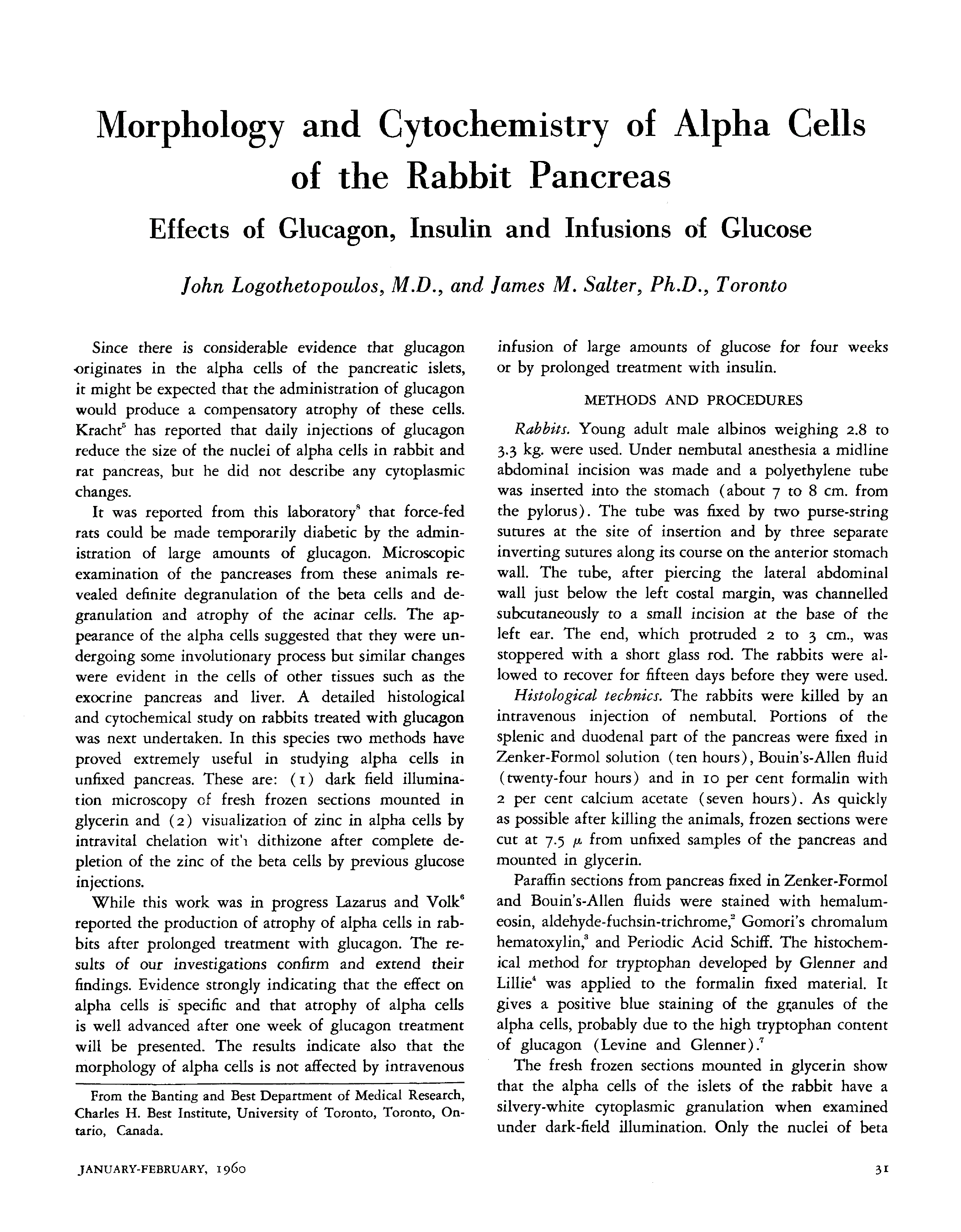 Morphology and Cytochemistry of Alpha Cells of the Rabbit Pancreas ...