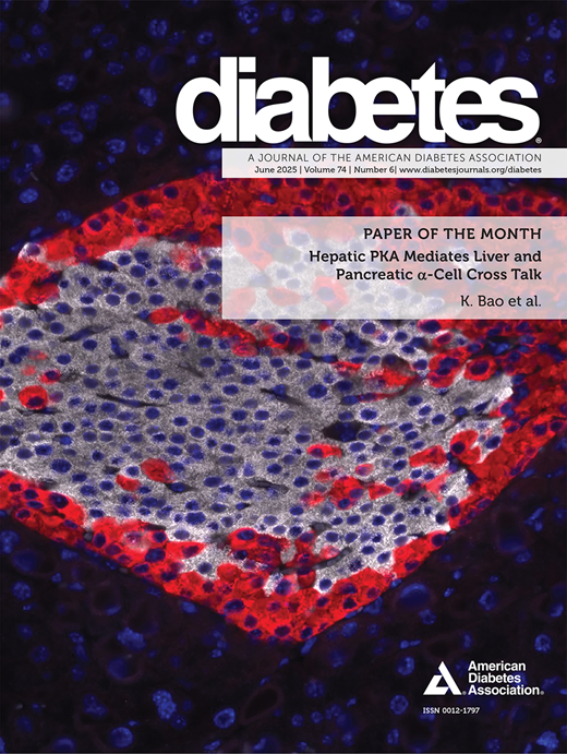 β-Cells: So Sensitive | Diabetes | American Diabetes Association