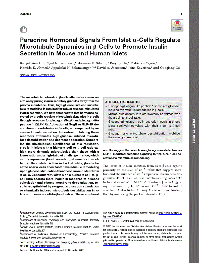 Paracrine Hormonal Signals From Islet α-Cells Regulate Microtubule ...