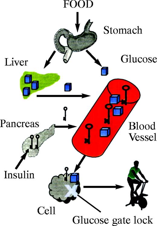 Four Theories and a Philosophy: Self-Management Education for ...