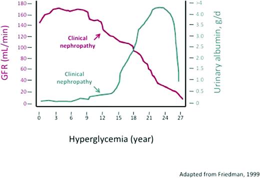 Laboratory Assessment of Diabetic Kidney Disease | Diabetes Spectrum ...
