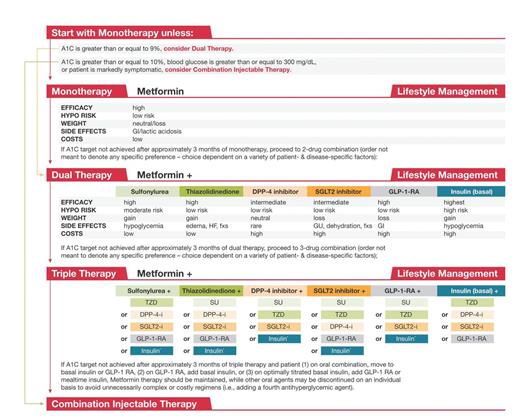 iGlarLixi: A New Once-Daily Fixed-Ratio Combination of Basal Insulin ...